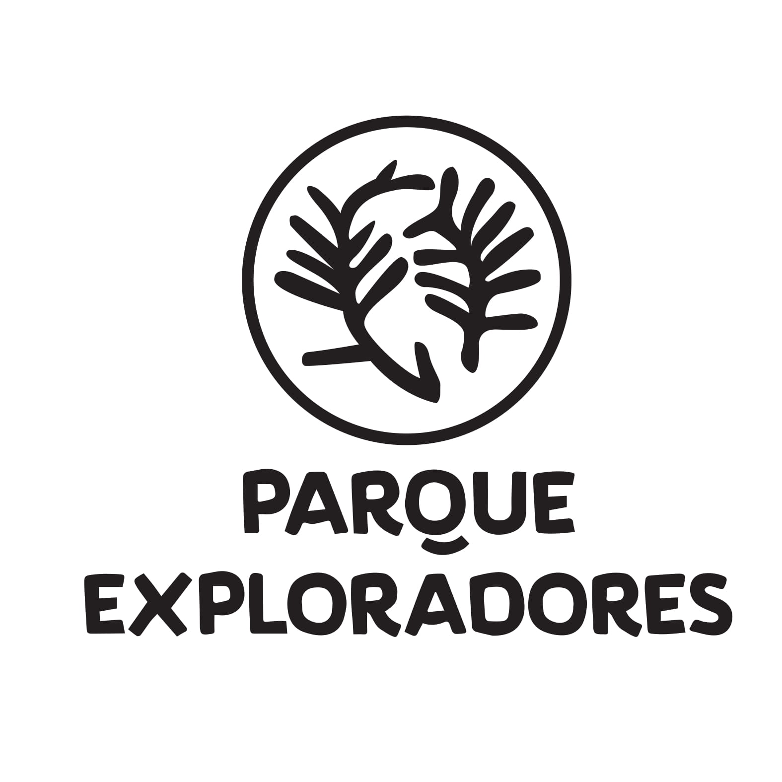 Bienvenidos » Parque Exploradores